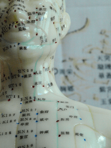 Acupuncture Points Chart Model Face Neck - Acupuncture & Wellness Updates