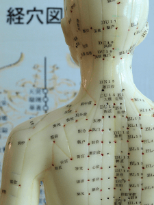 Acupuncture Points Chart Model Neck upperback - Acupuncture & Wellness ...